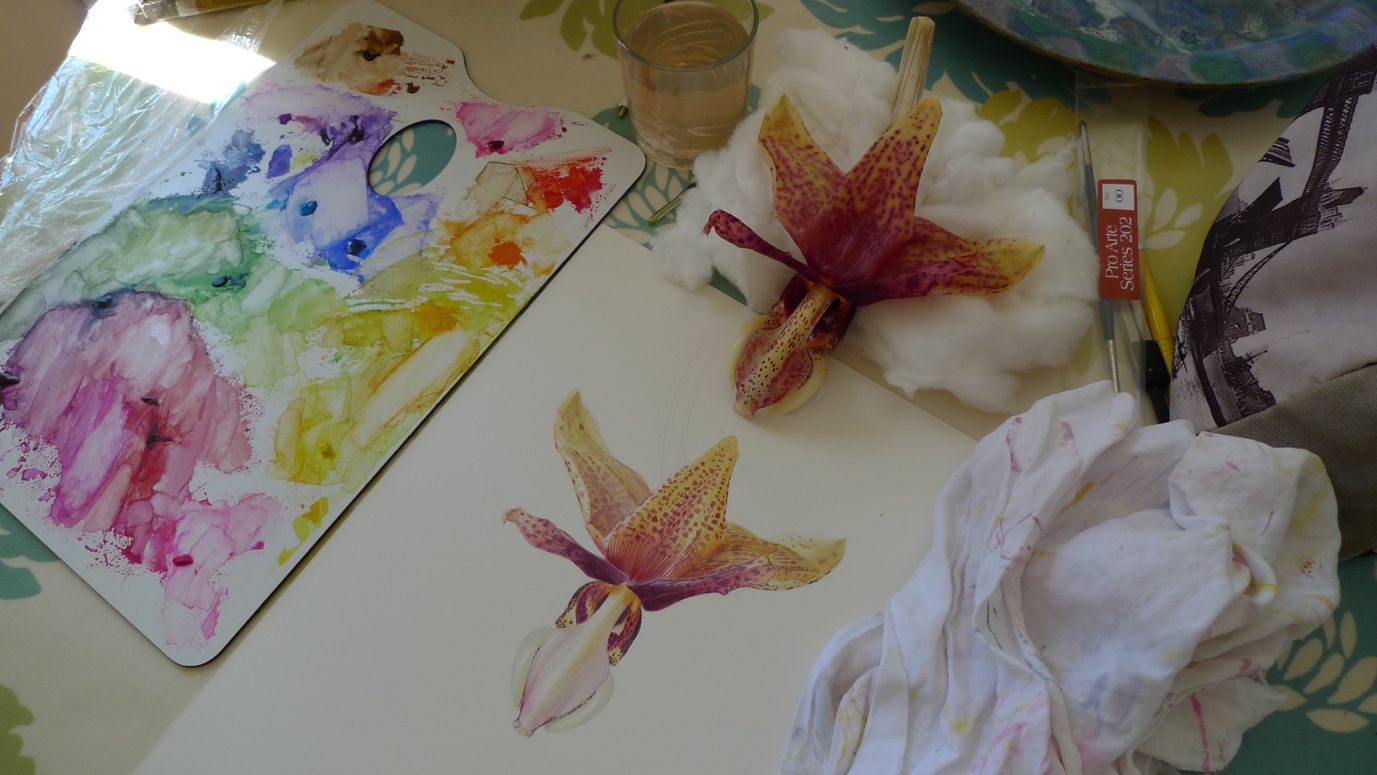 Following in Nellie Roberts’ brushstrokes – the work of orchid painter ...